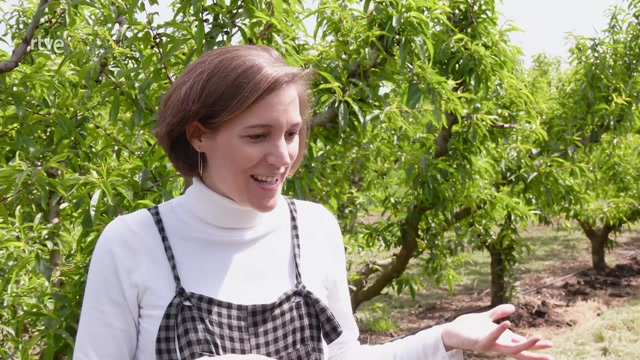 Alcarràs: así es la tierra de la cinta de Carla Simón