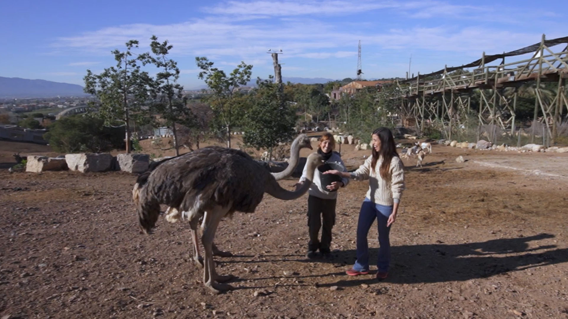 '¡Qué animal!' regresa a La 2 con nuevas y extraordinarias capacidades ...