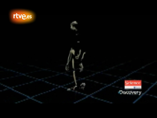 Antes de 'Lucy' fue 'Ardi', el hombre y el chimpancé | RTVE.es