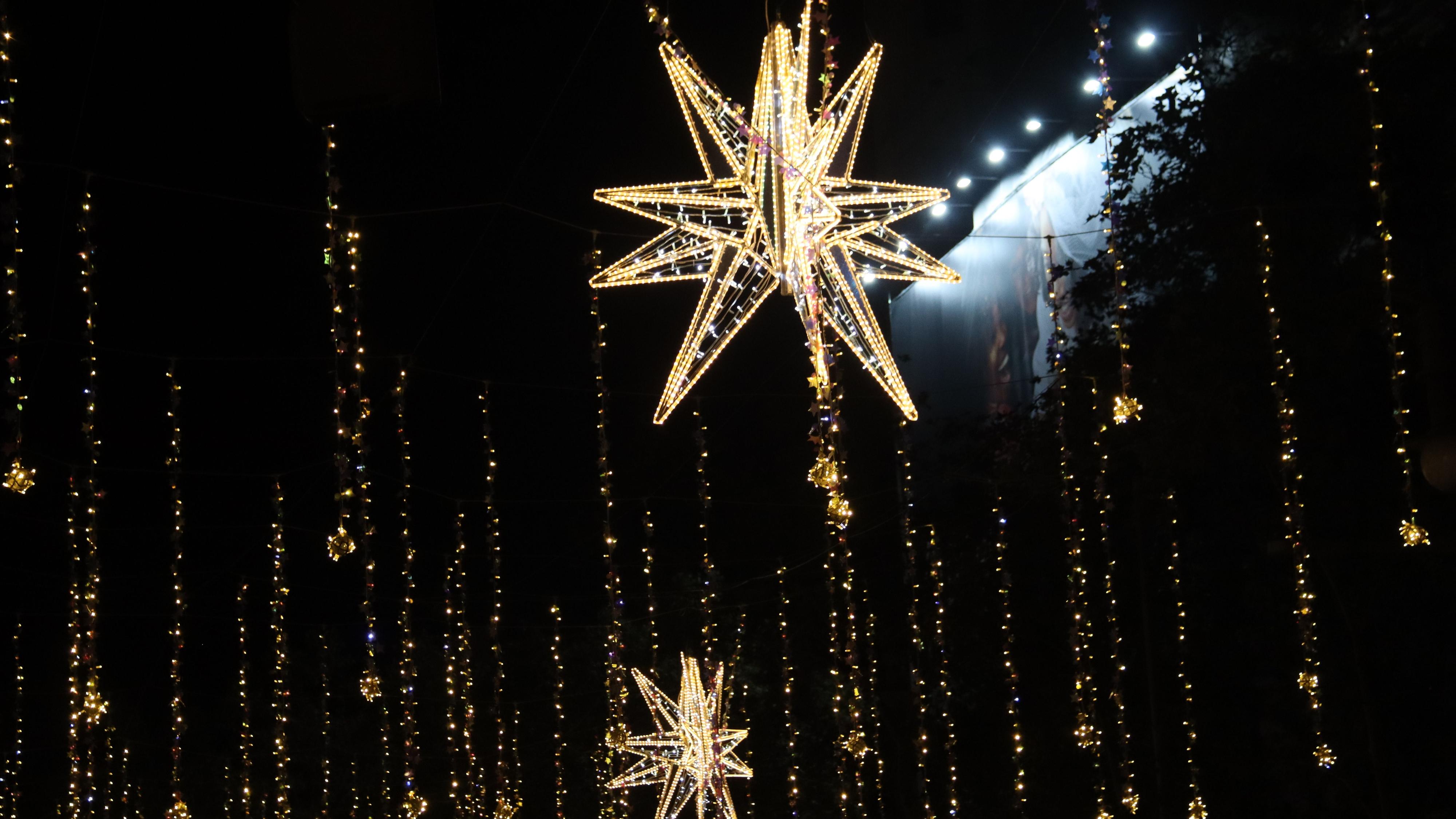 Nadal 2025 a Barcelona: més llum, més mar i un arbre gegant al Port