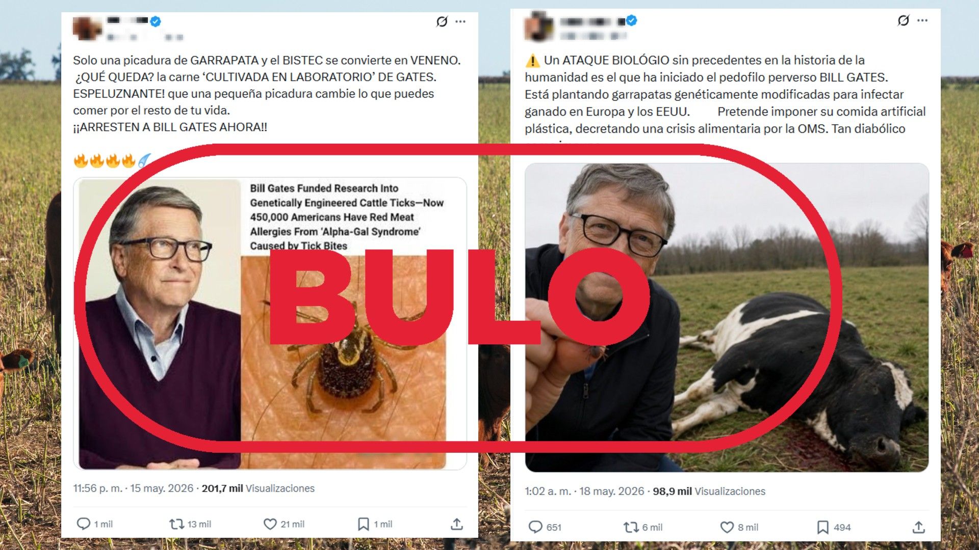 Bill Gates no invierte en garrapatas para infectar el ganado
