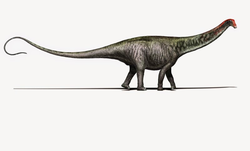El brontosaurio vuelve a ser un género único | RTVE.es
