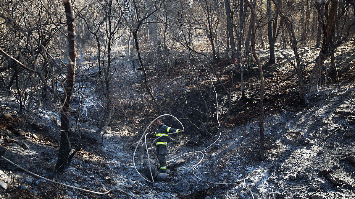 Controlados los incendios en Israel y Cisjordania tras la "ola de ...