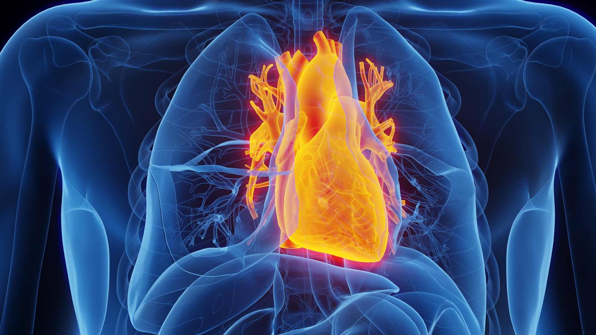 Día Mundial del Corazón: lo que deberías saber sobre el tuyo