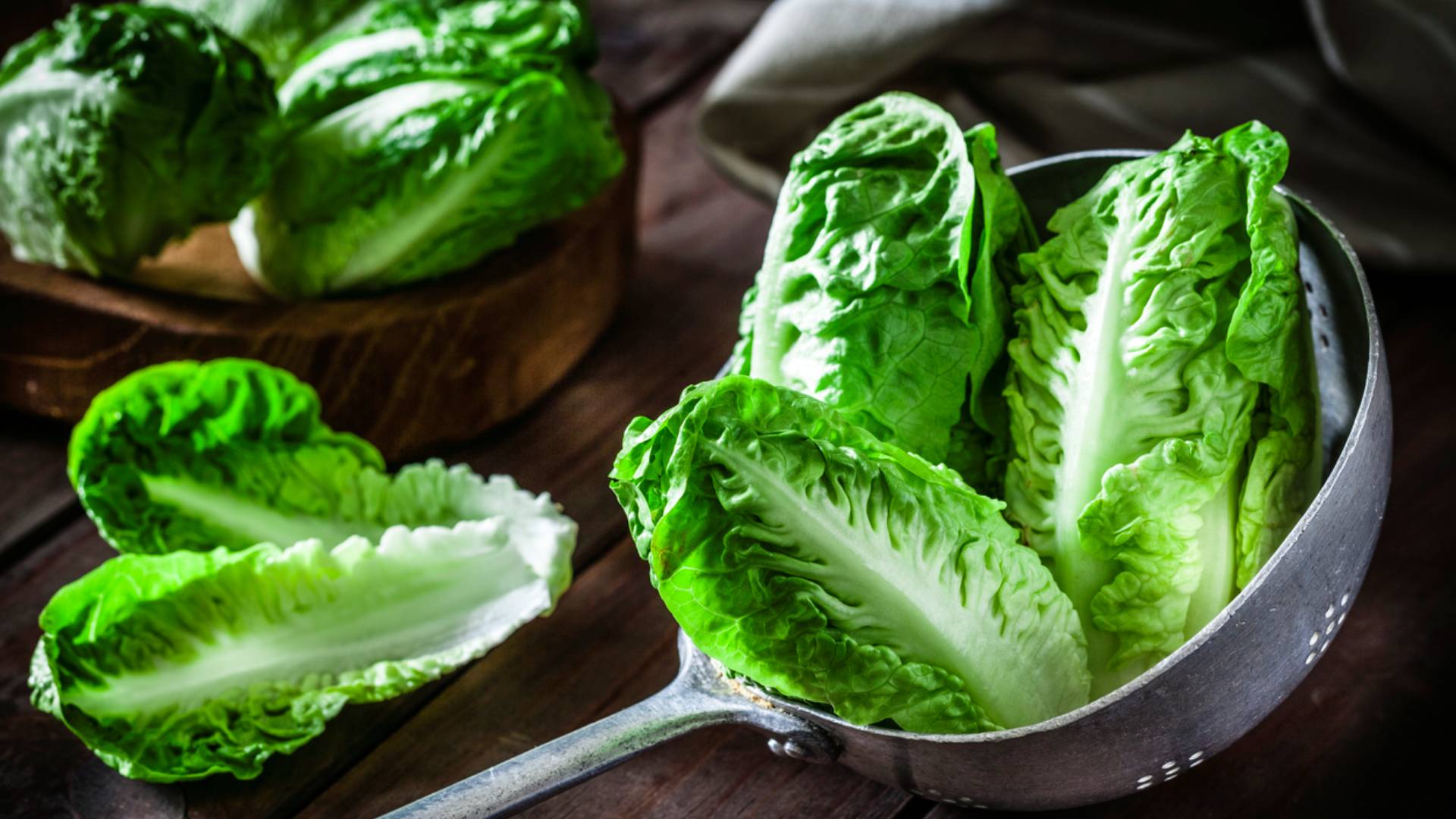 Cultivar lechugas en casa: fácil y delicioso