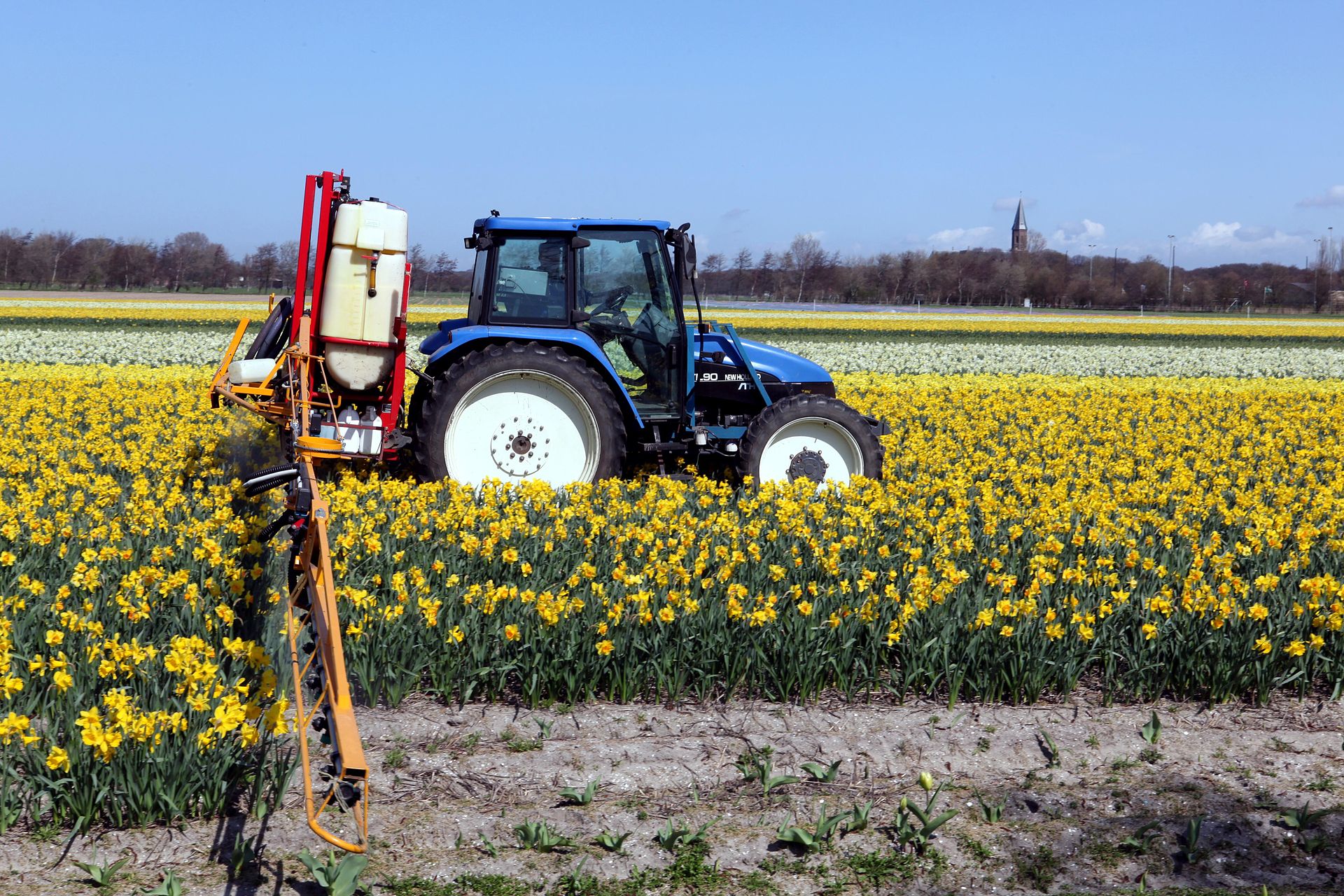 Insecticidas neonicotinoides afectan a las aves | RTVE.es