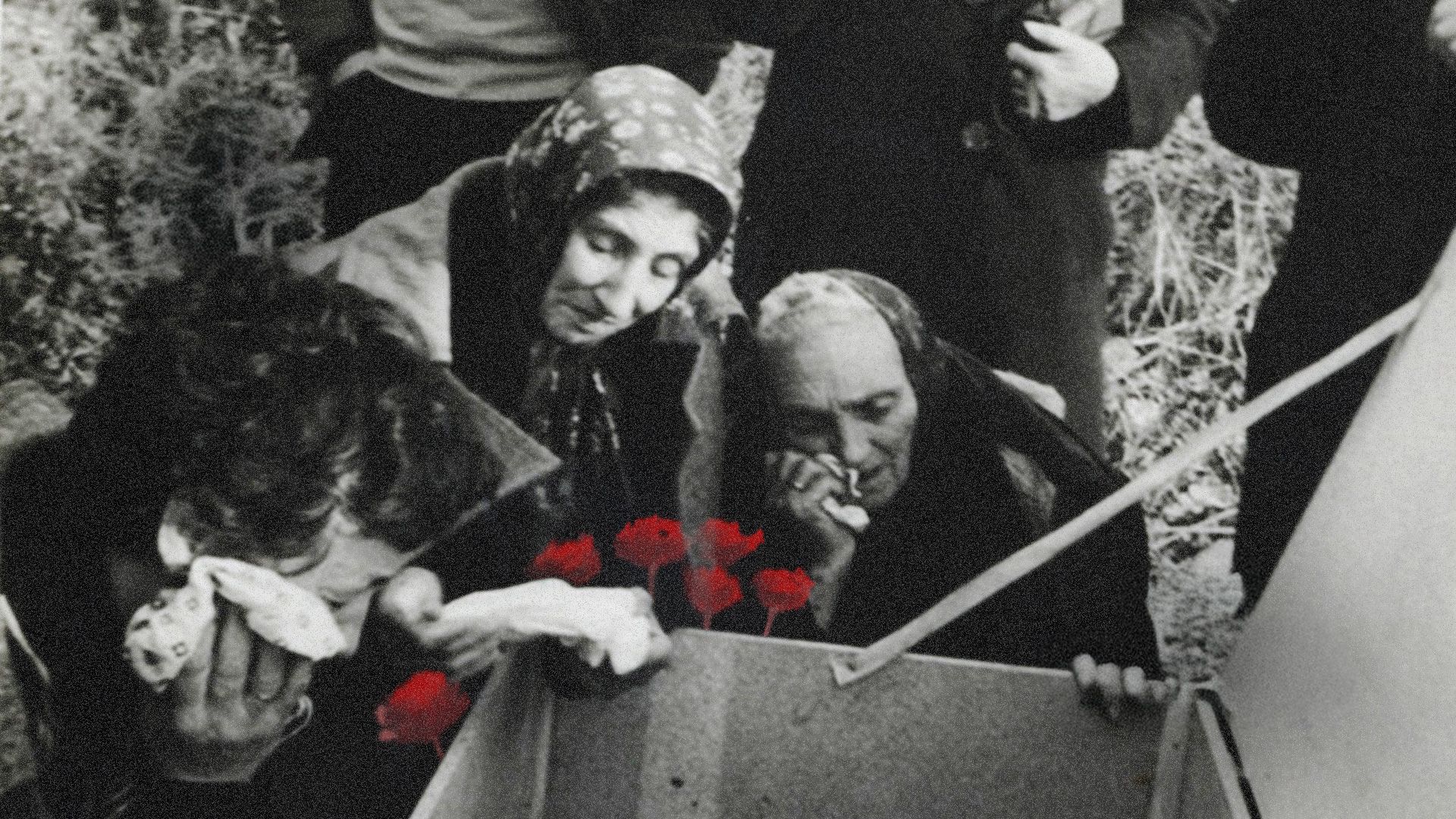 Noticias de última hora, programas y series de televisión - RTVE.es