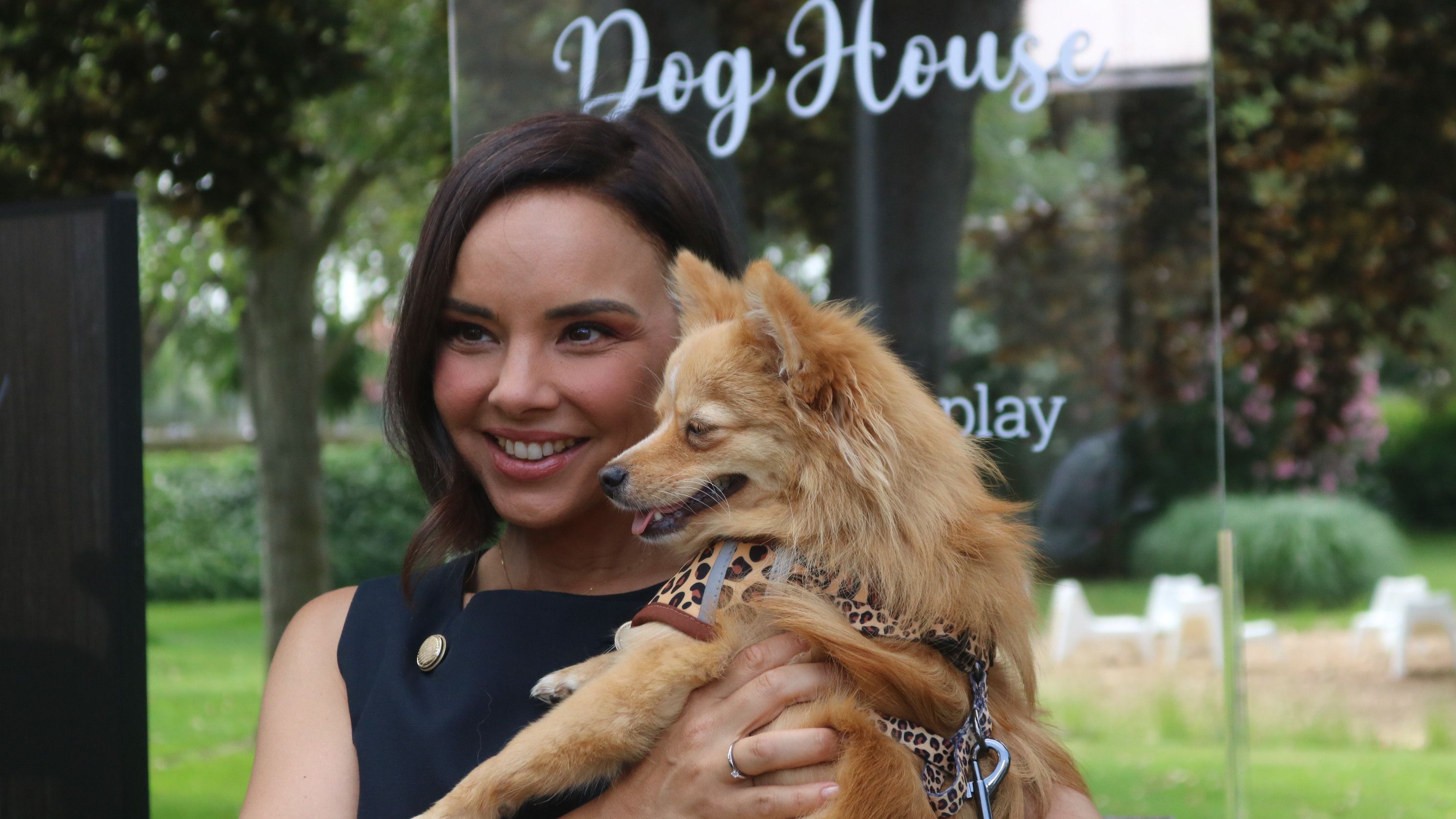 'Dog House': el nuevo reality de adopción de perros de RTVE