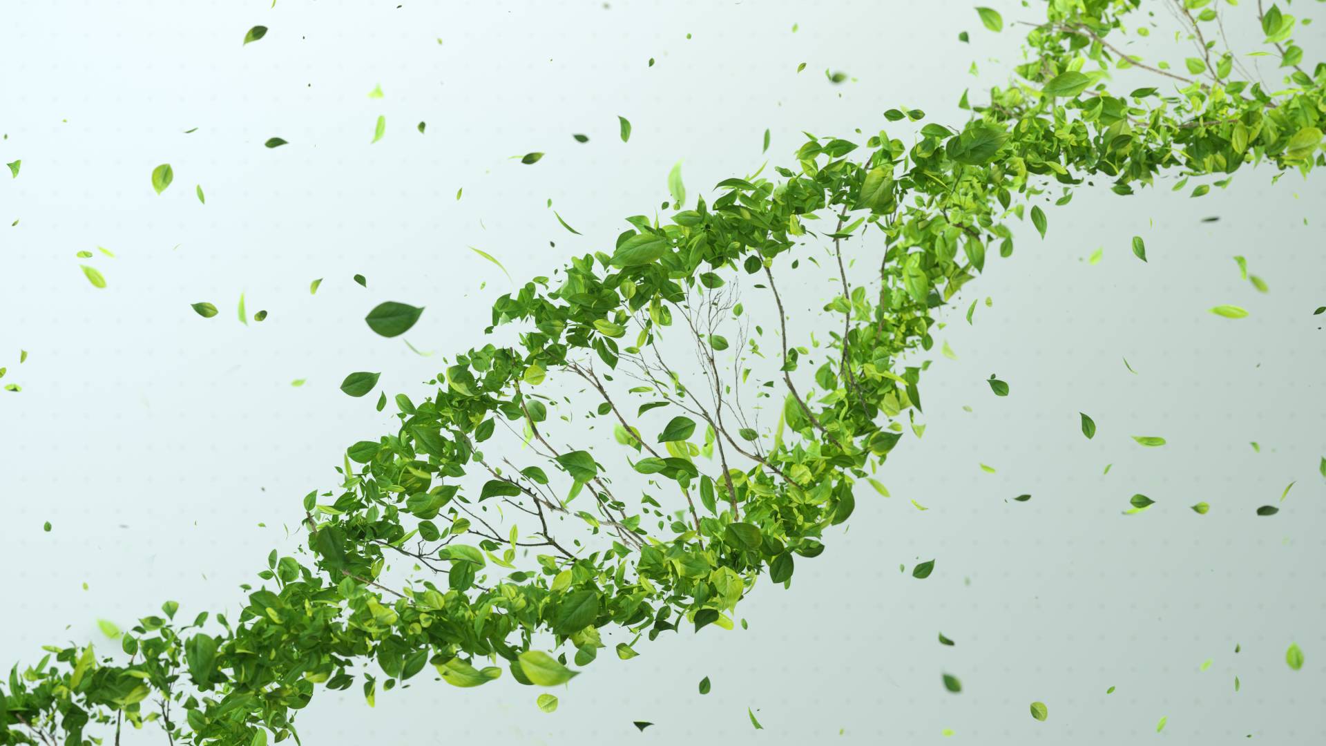 CRISPR: Así funciona la edición genética de plantas y cultivos