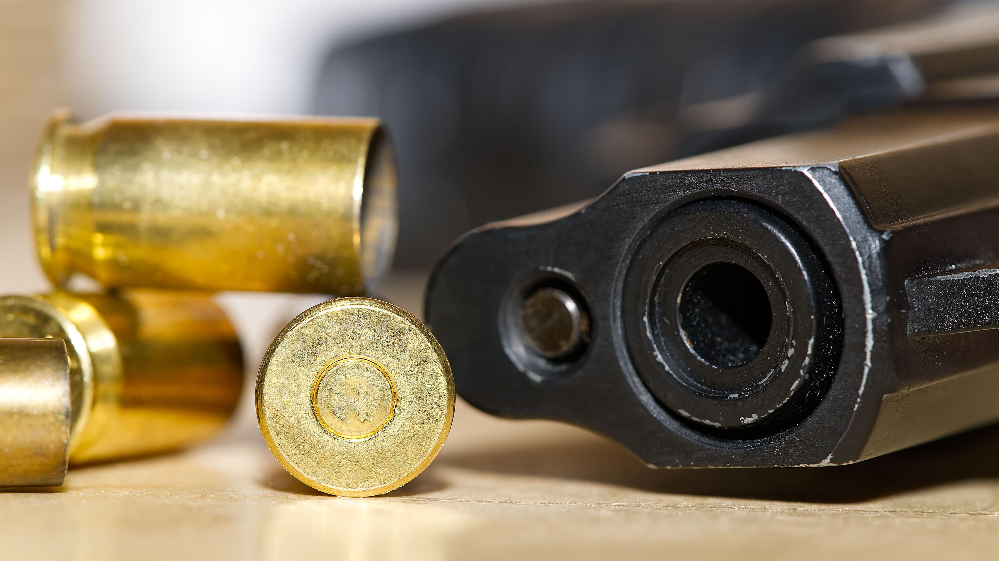 En España hay más de 2,6 millones de armas con licencia