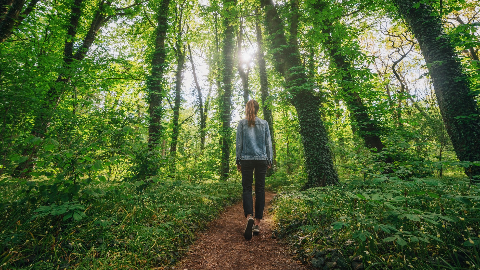 ¿Por qué pasear por la naturaleza ayuda a tu cerebro?