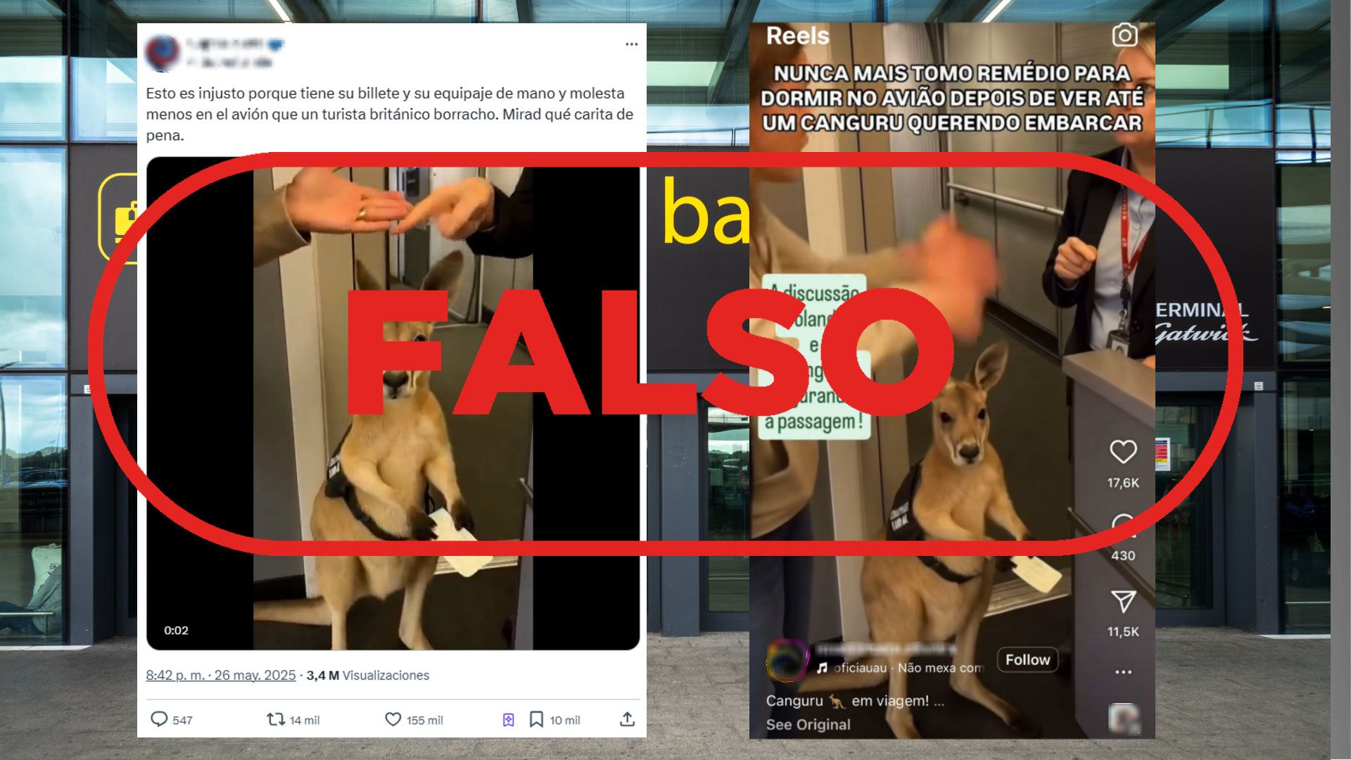 No es un canguro entrando a un avión, es un vídeo creado con IA