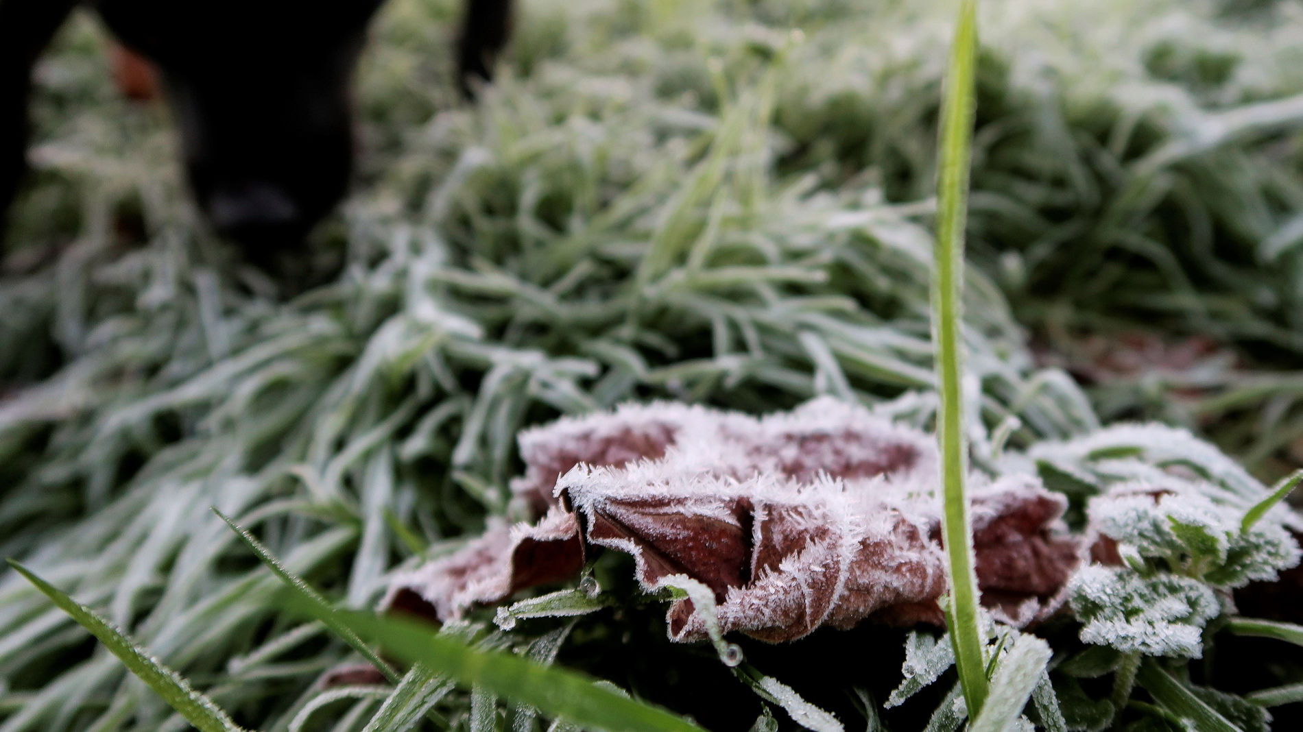 Veintiocho provincias en alerta | RTVE.es