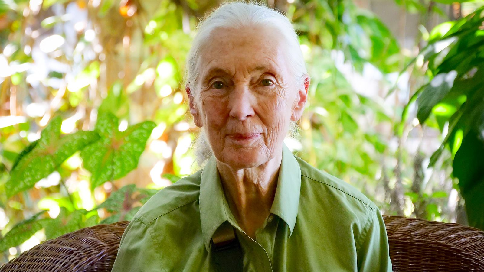 El legado de Jane Goodall inspira en 'New Generation'