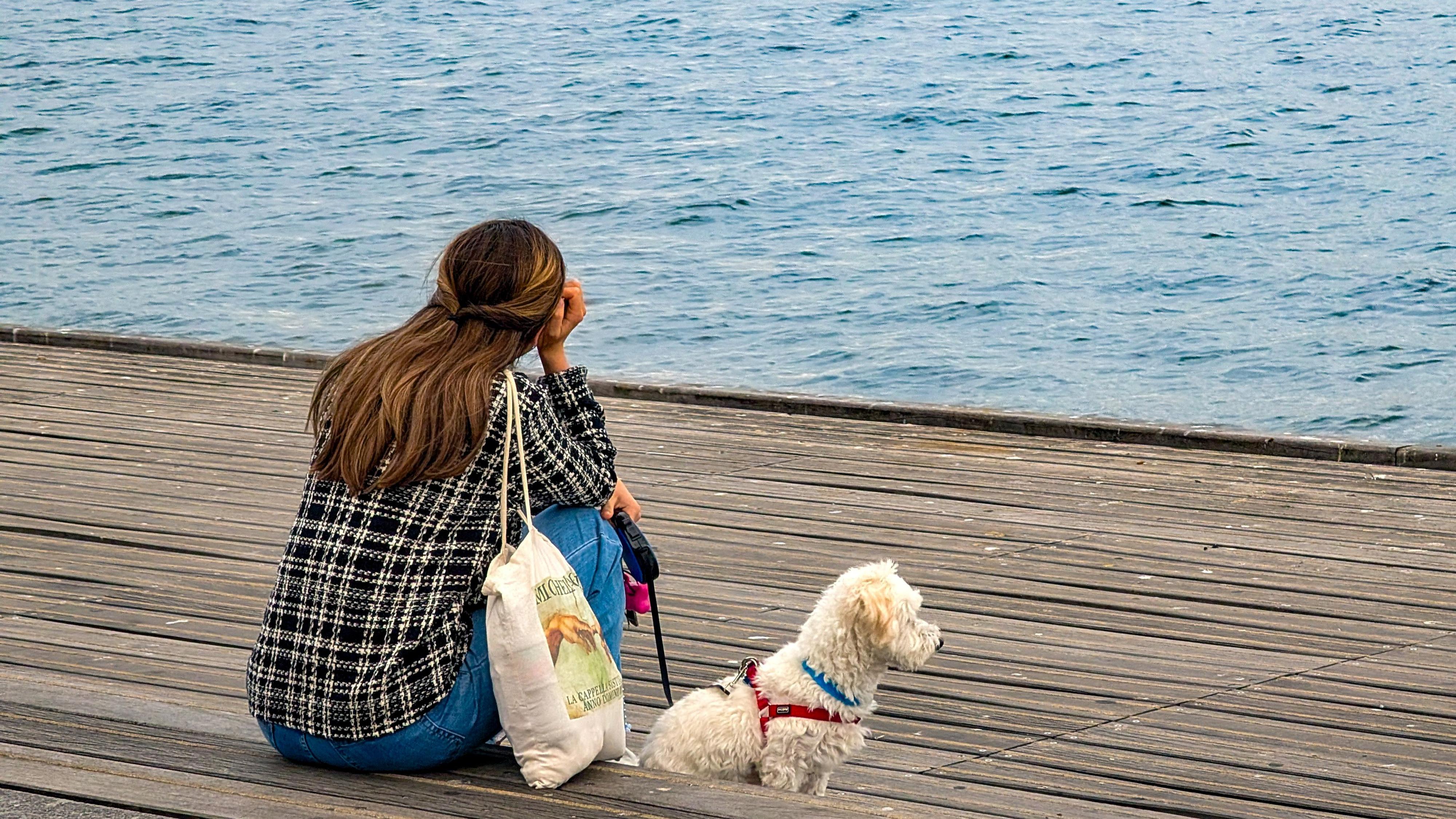 Un juzgado considera violencia vicaria el asesinato del perro de su ...