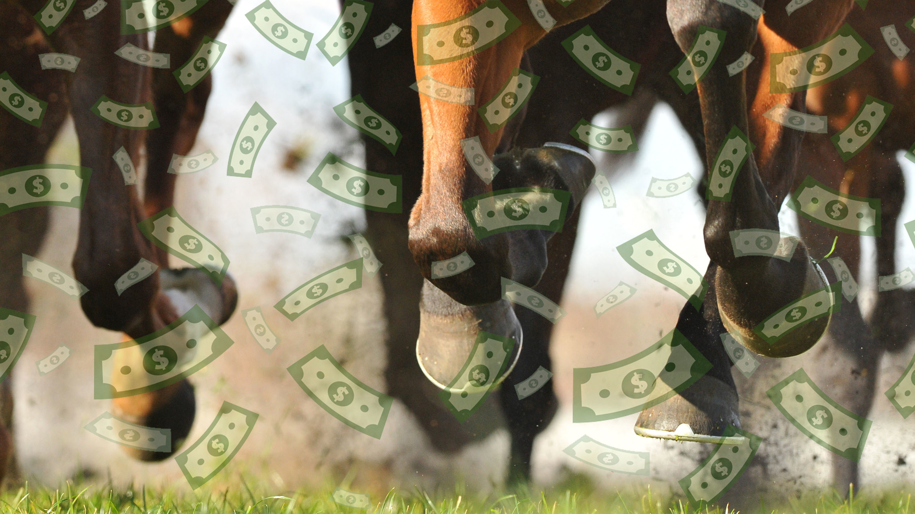 Lototurf: ¿Cuál es el mayor premio repartido? - Loterías RTVE