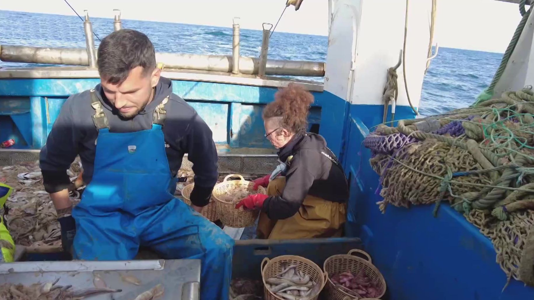 Los observadores cientificos y su importancia en la investigación