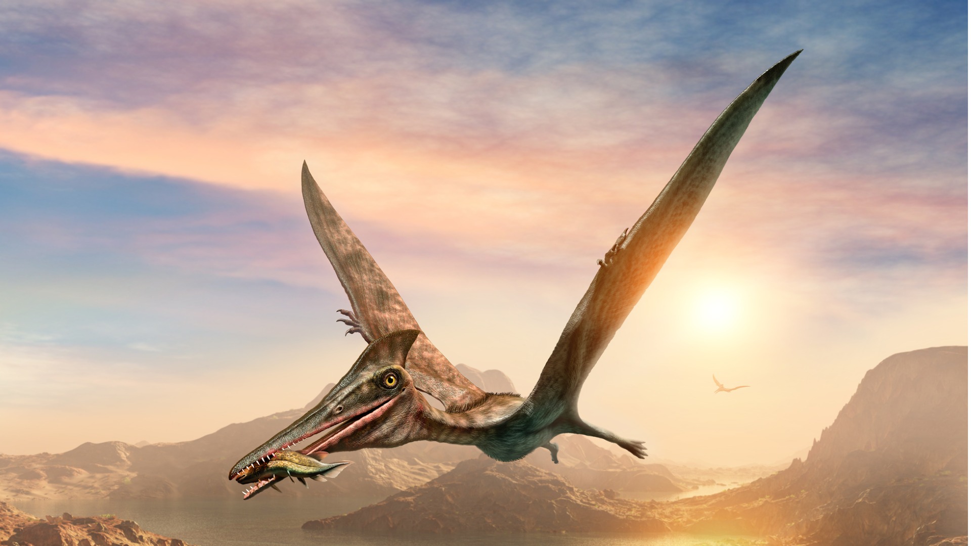 Animales que parecían dinosaurios... Pero no lo eran.