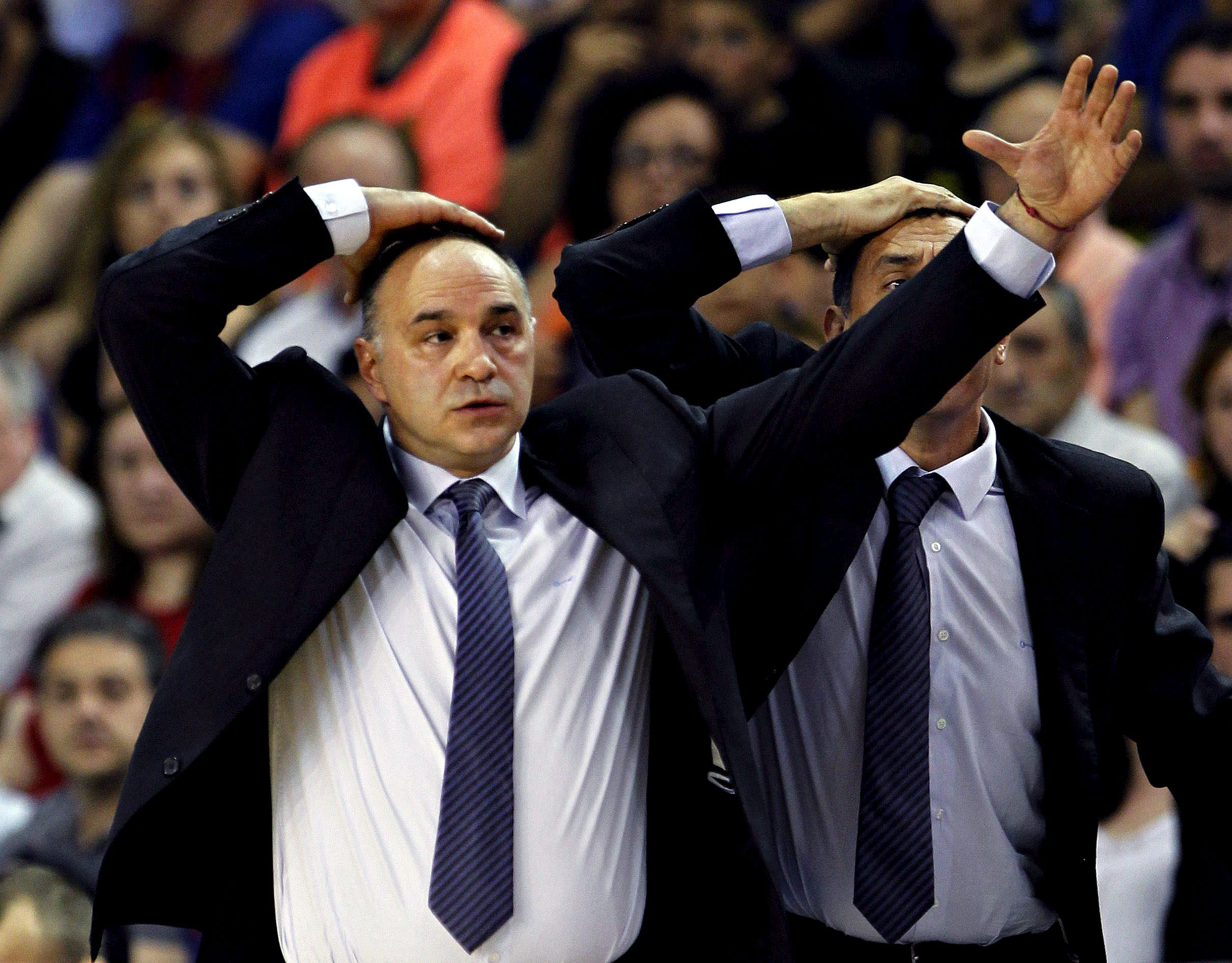Pablo Laso renueva con el Real Madrid hasta 2014