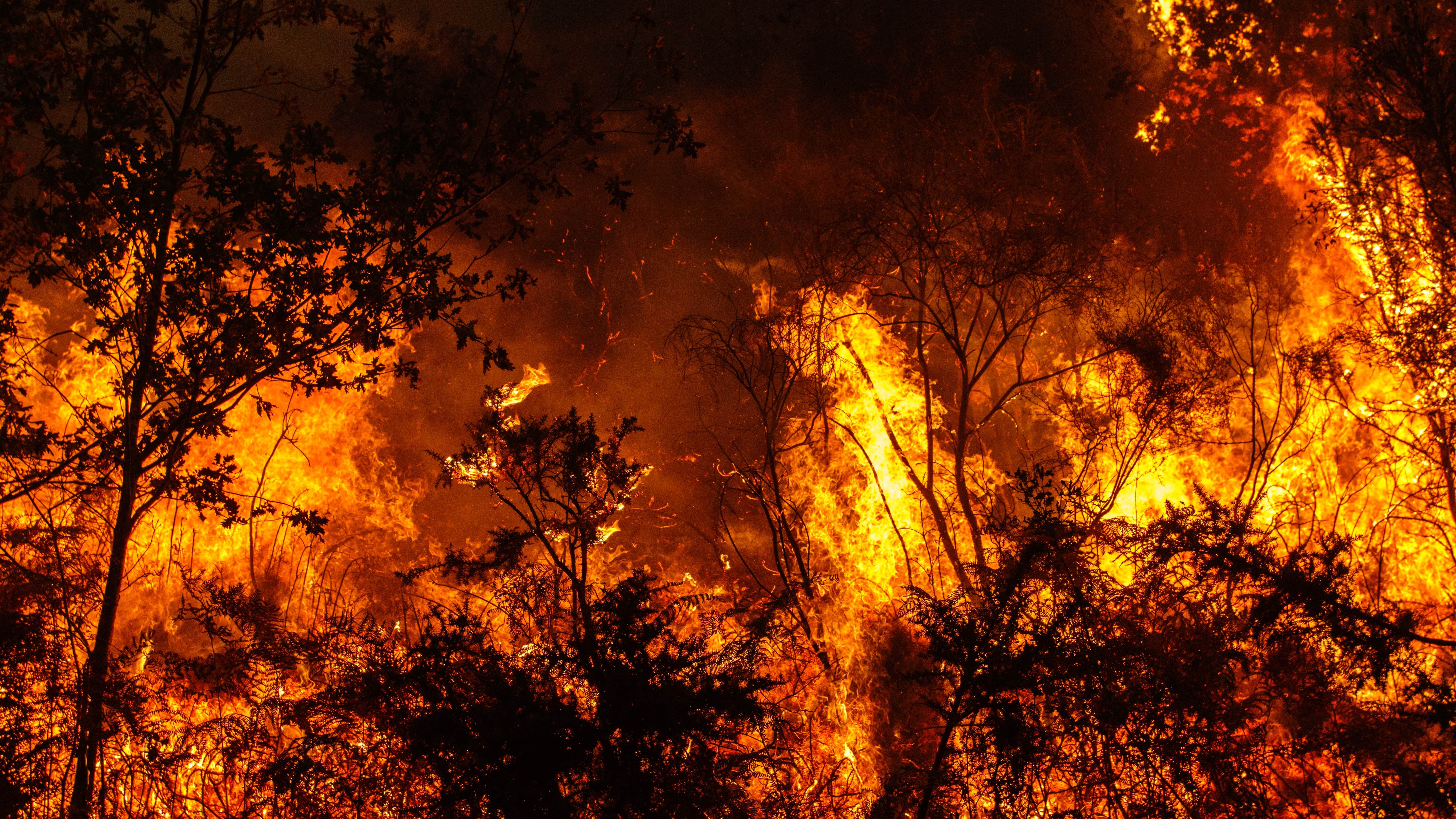 Las partículas de humo de los incendios pueden erosionar la capa de ozono