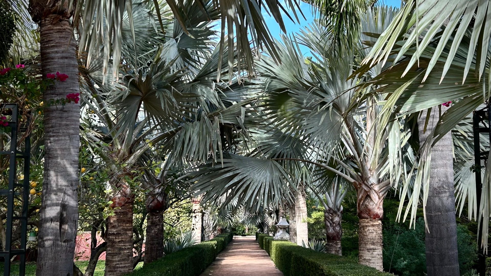 Así evita las plagas este jardín de Alicante sin usar químicos