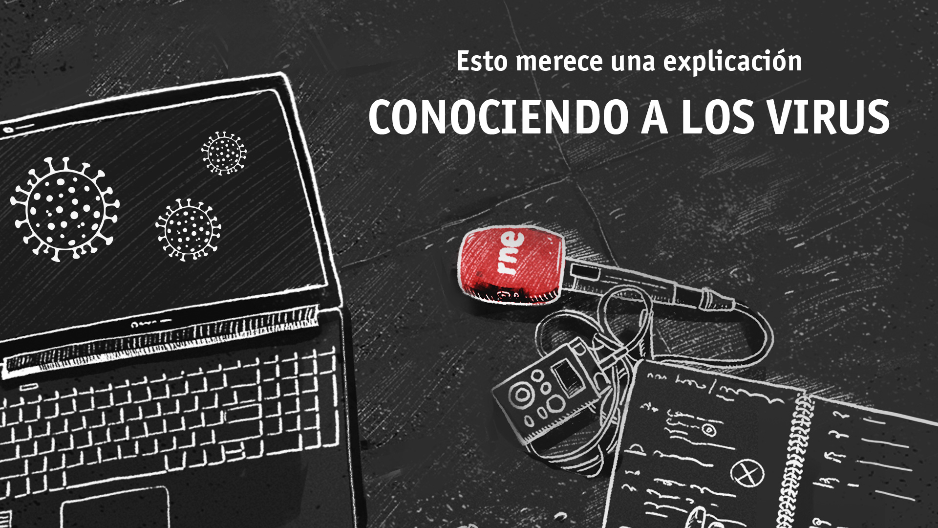 Conociendo a los virus: cuándo y por qué deben preocuparnos