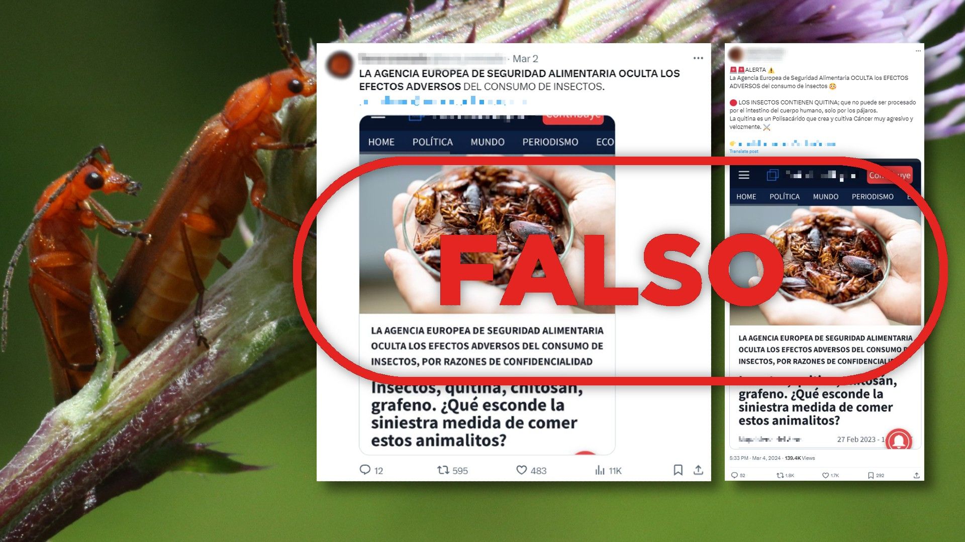 Los insectos no provocan cáncer ni contienen grafeno