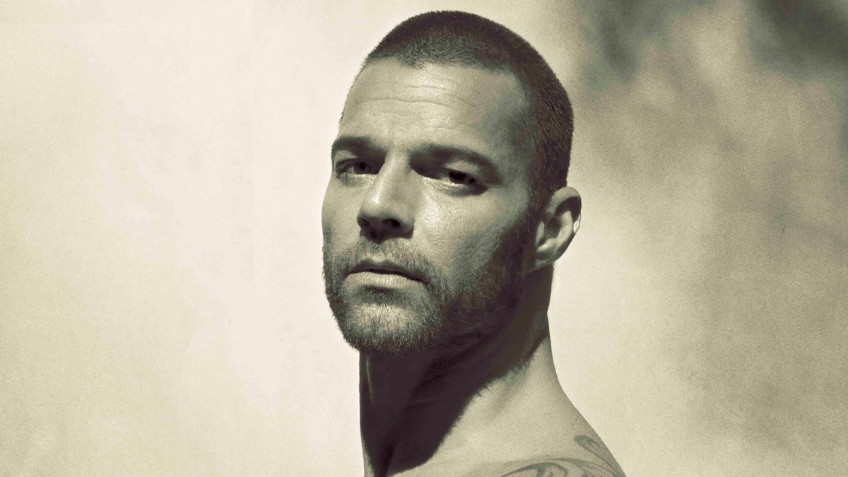 Ricky Martin: Así era su vida idílica vida antes del divorcio