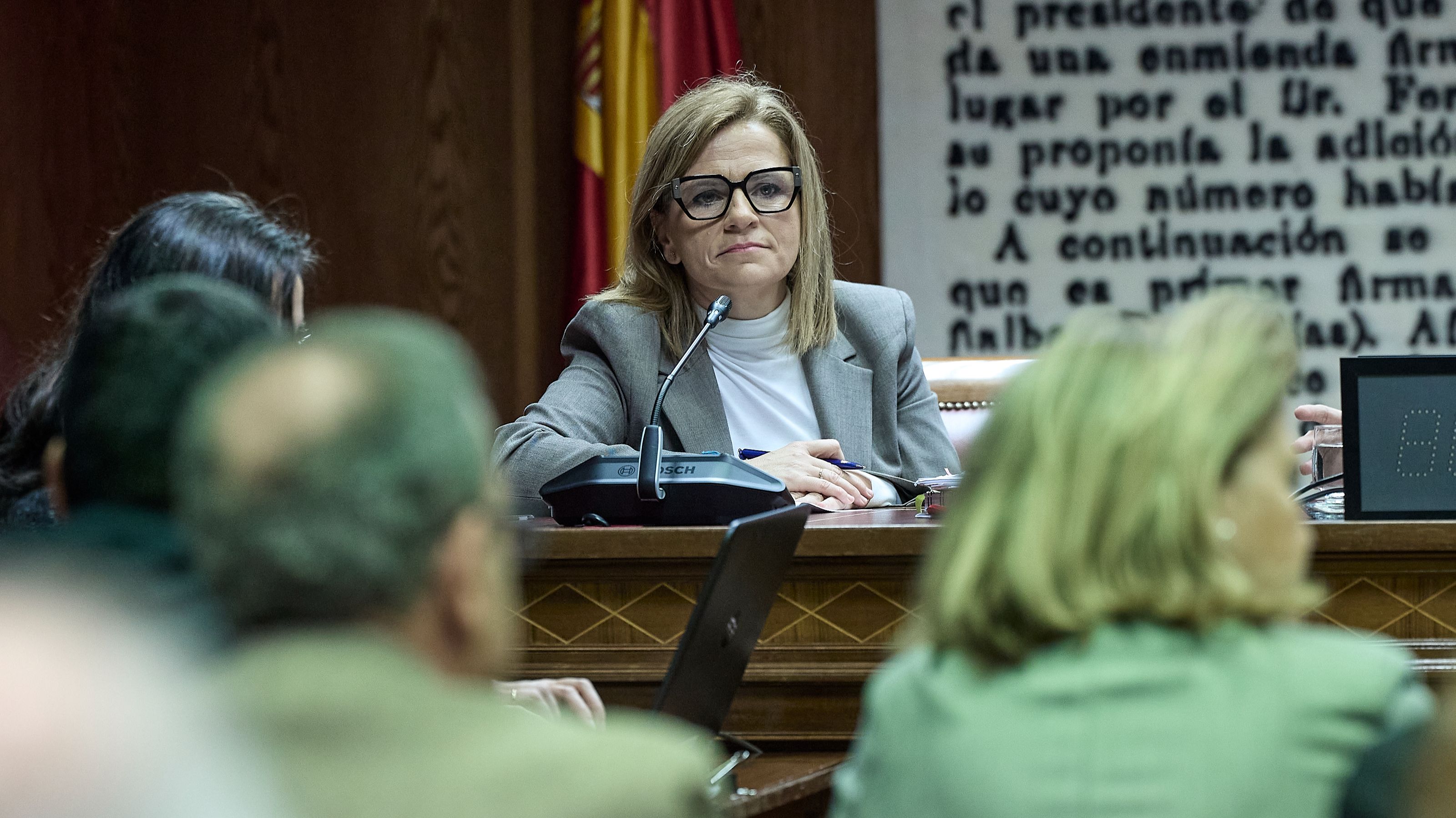 Pilar Bernabé comparece en el Senado por la dana