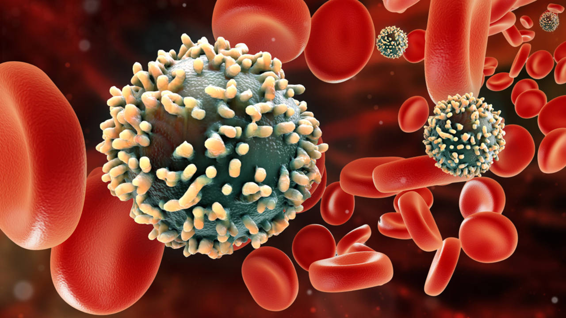 SIDA: 40 años, 40 millones de muertos y 40 millones de afectados