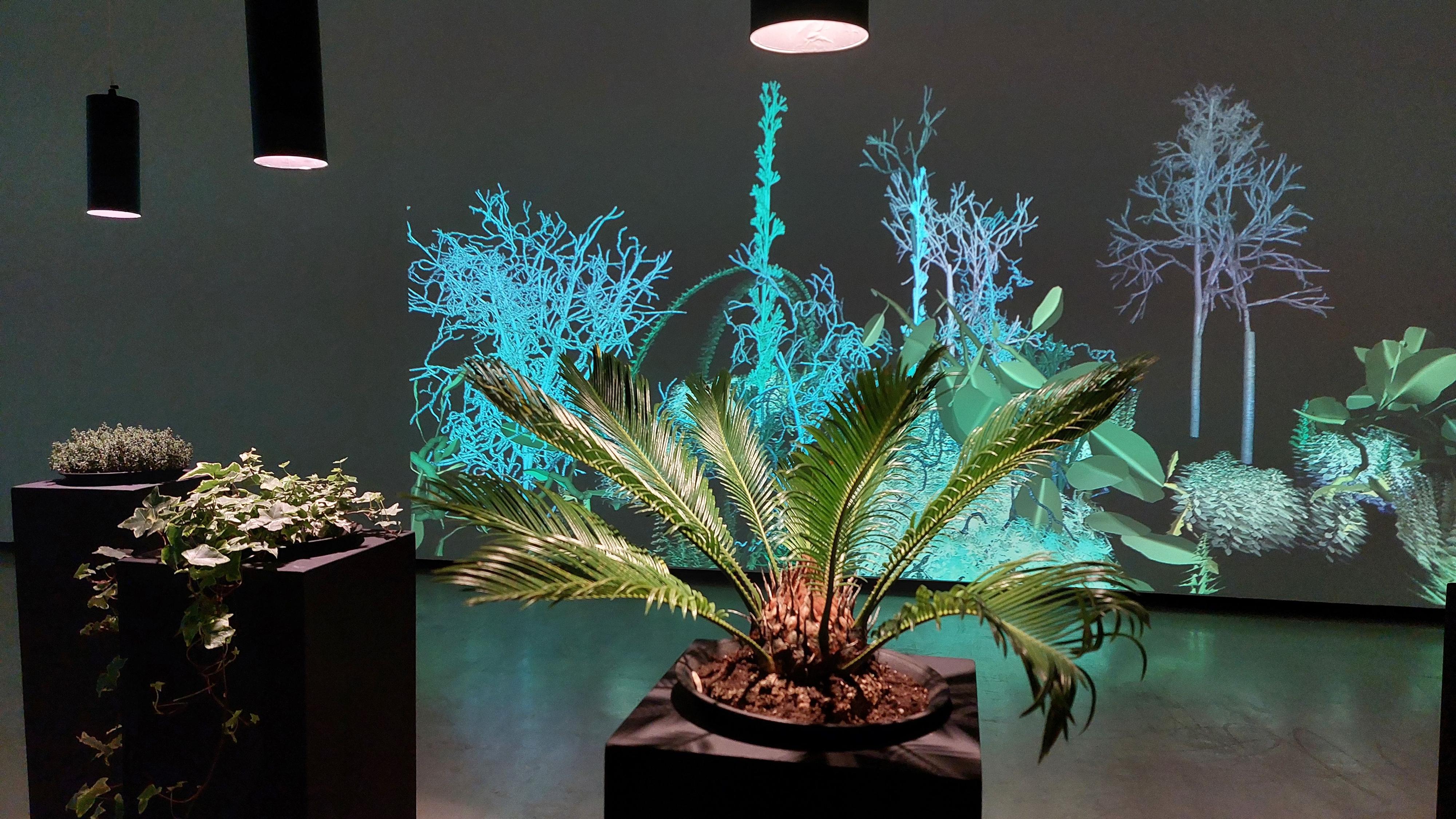 Sommerer y Mignonneau: Los pioneros del arte de la interfaz