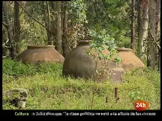 La última factoría ballenera en España