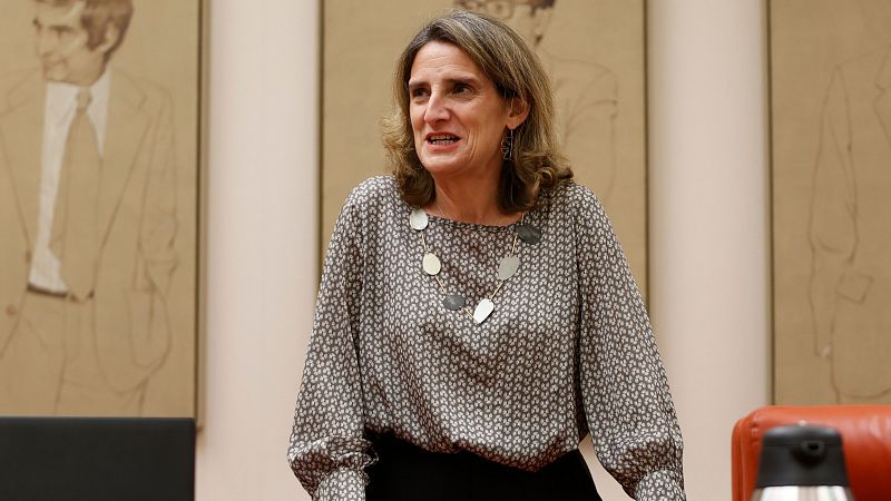 García Castellón cree que Tsunami pudo García Castellón cree que Tsunami pudo