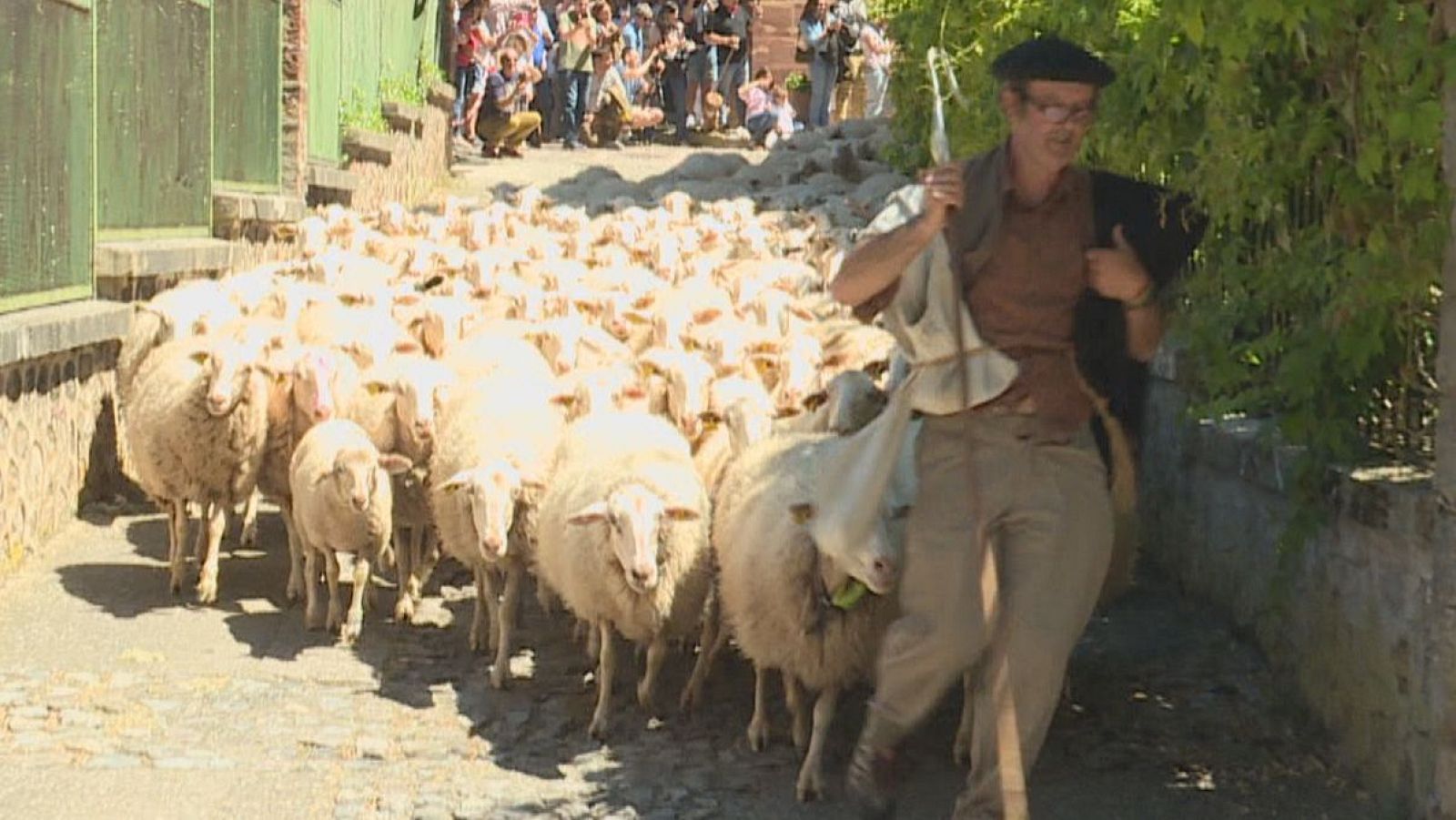 Brieva de Cameros celebra su Fiesta de la Trashumancia