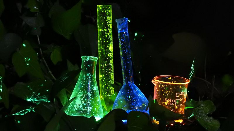Fotciencia Las Mejores Imágenes Científicas De 2022