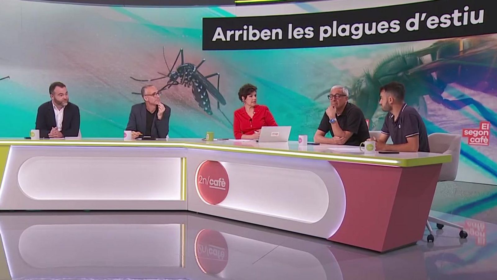 Propagació de plagues i calor extrema - El segon cafè