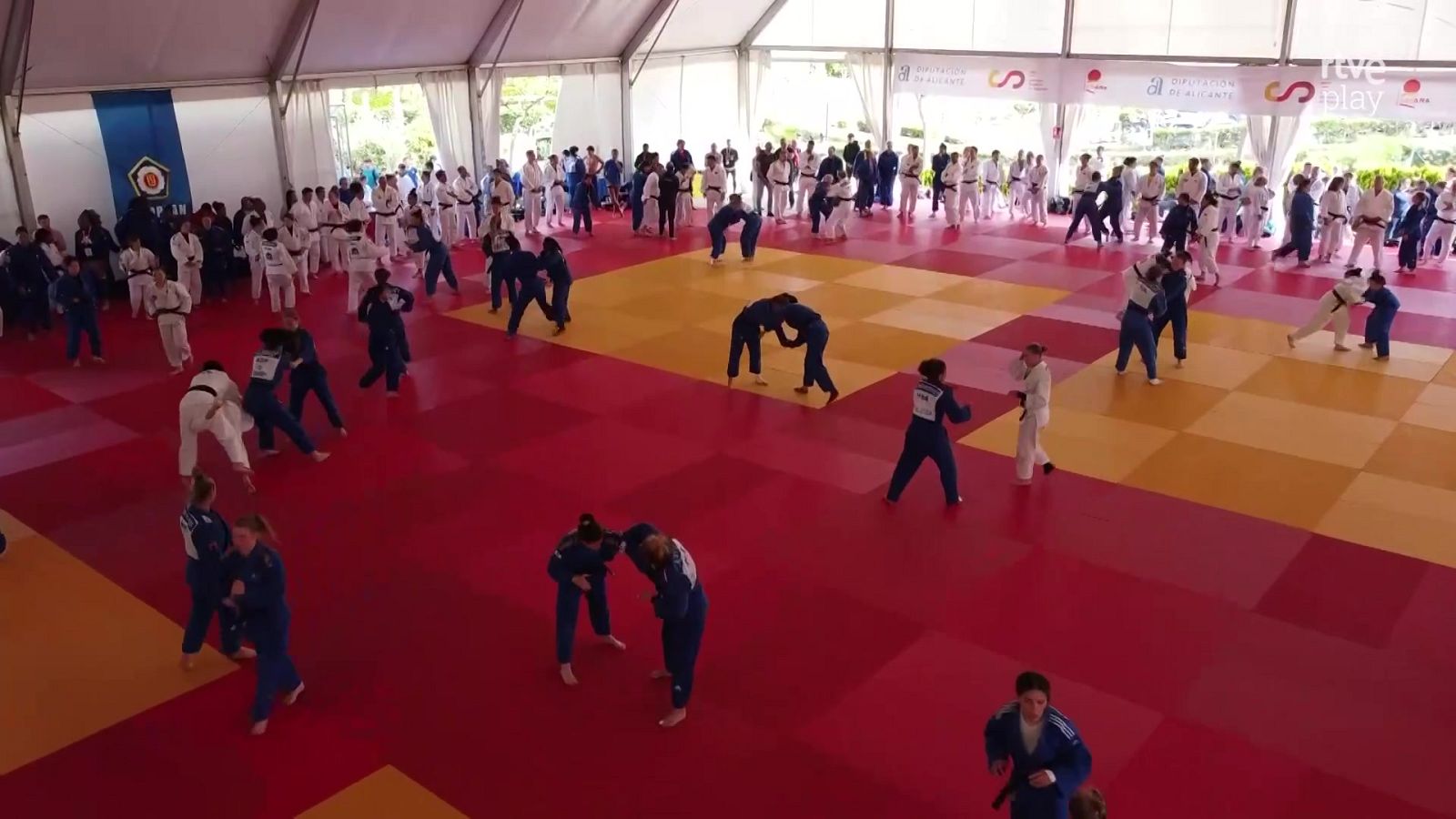 Judo - Olympic Training Cup Benidorm