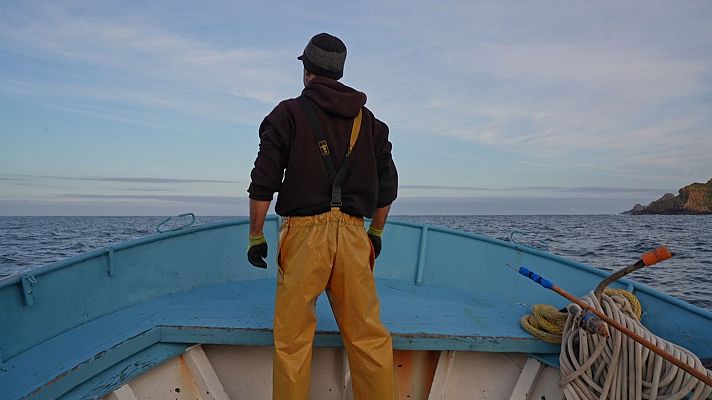 El escarabajo verde - Un ecosistema humano